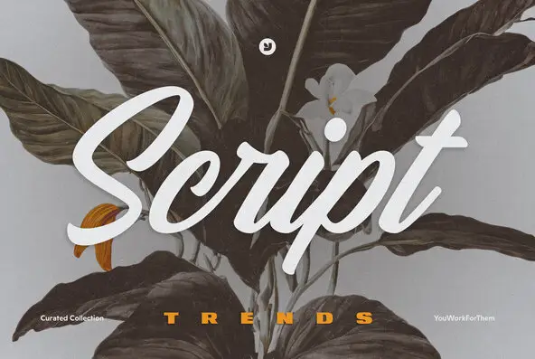 The Latest Script Font Trends - YouWorkForThem