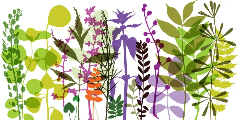 Kapitza - YouWorkForThem