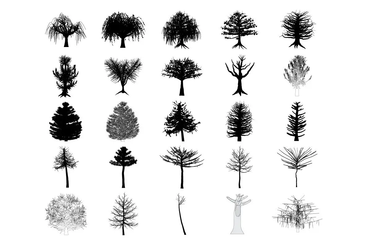 Timber Graphics - YouWorkForThem