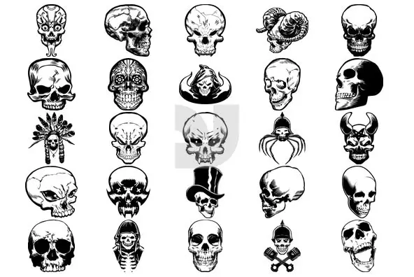 Skullz 09 Graphics - YouWorkForThem