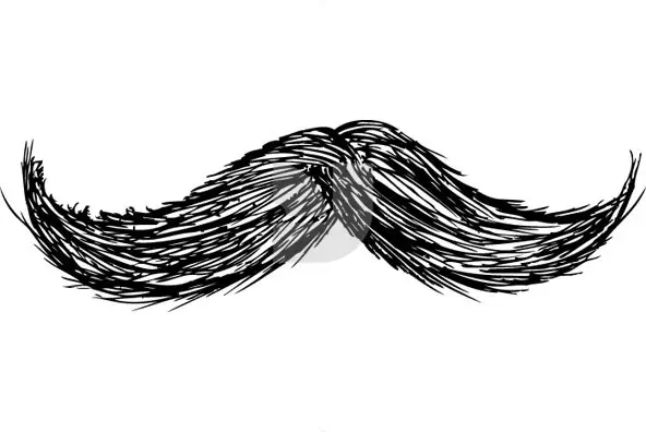 Staches 01 Graphics - YouWorkForThem