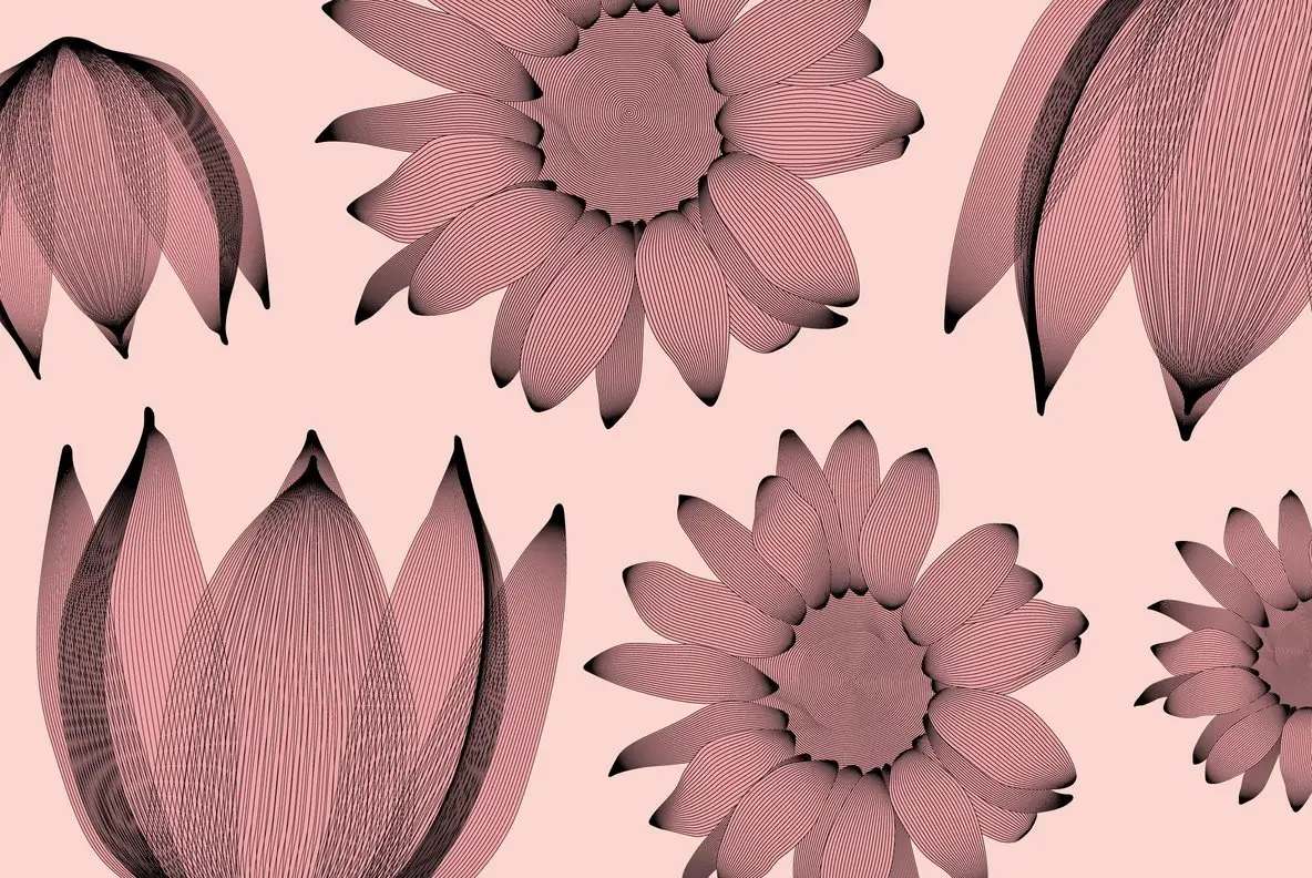 Flourishes 55 Graphics - YouWorkForThem