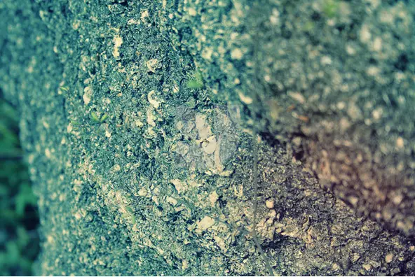 Below the Crust Graphics - YouWorkForThem