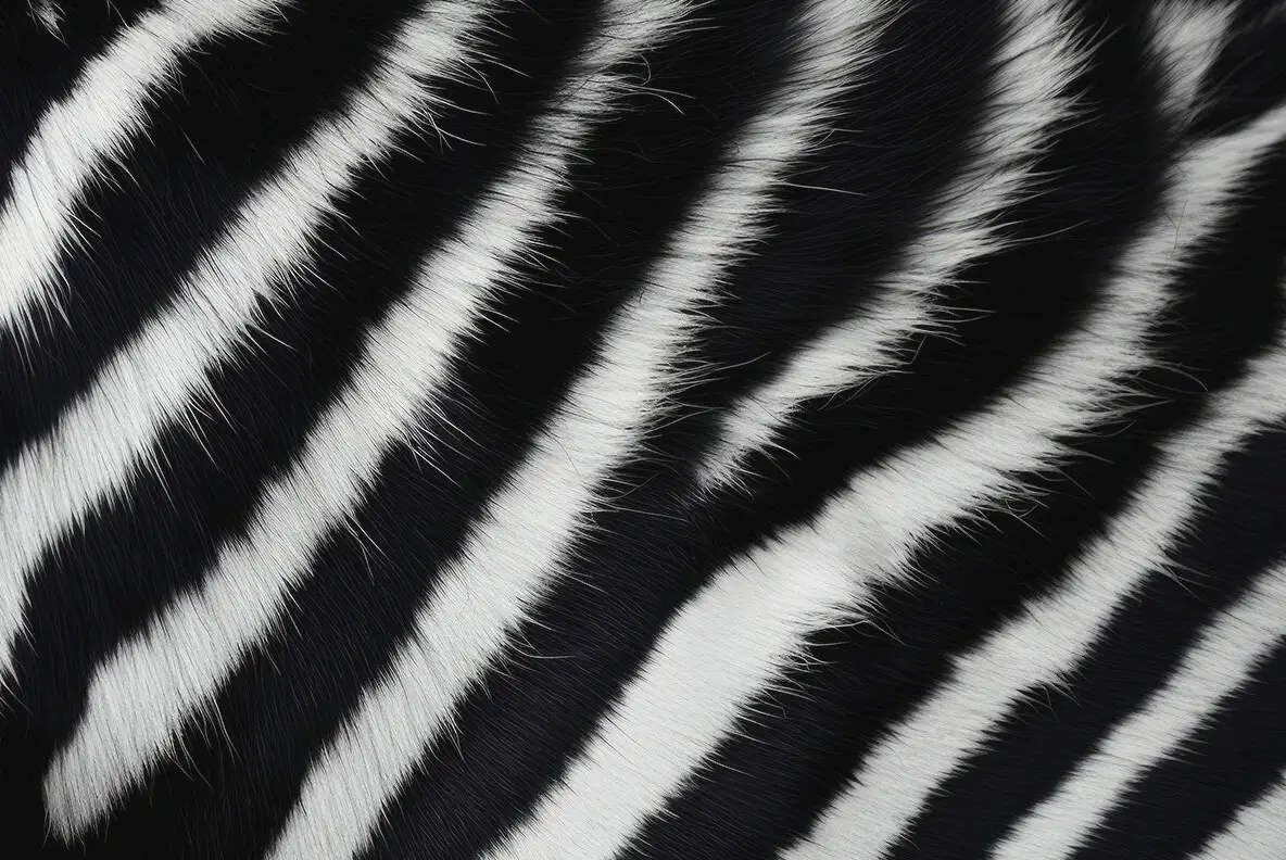 Animal Fur Animals - YouWorkForThem