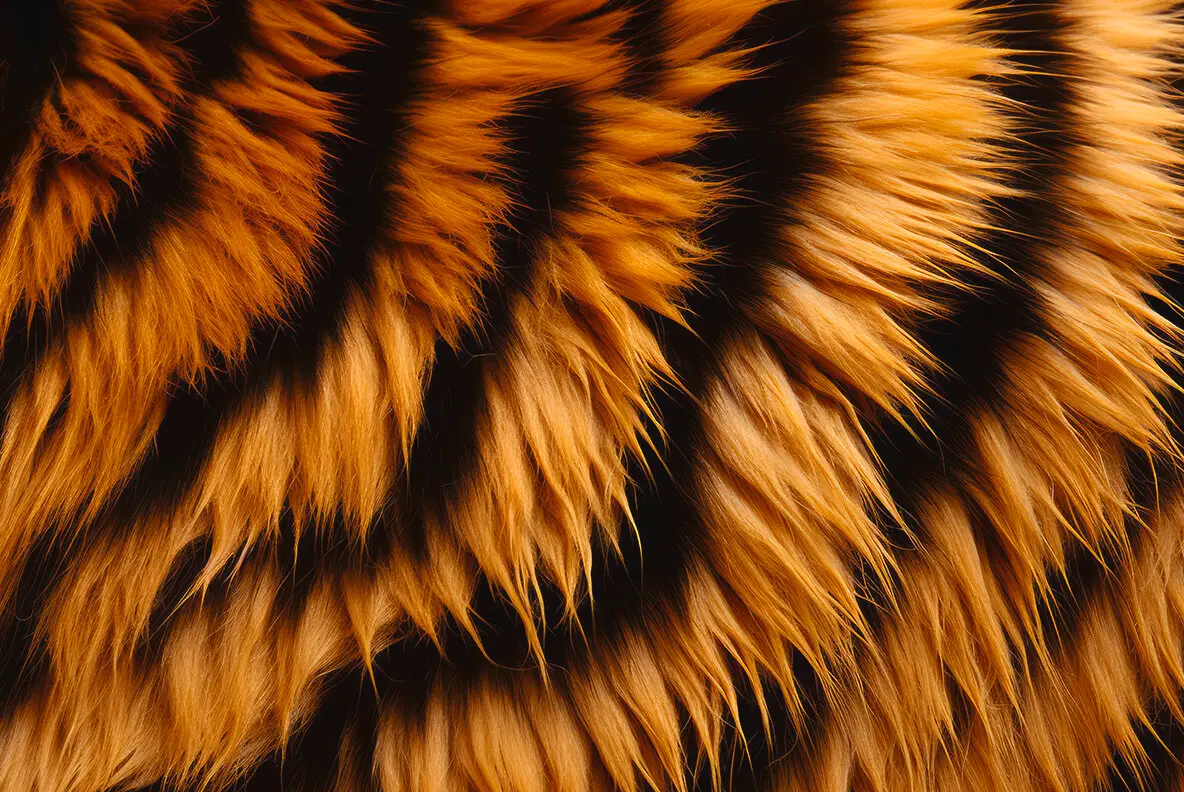 Animal Fur Animals - YouWorkForThem