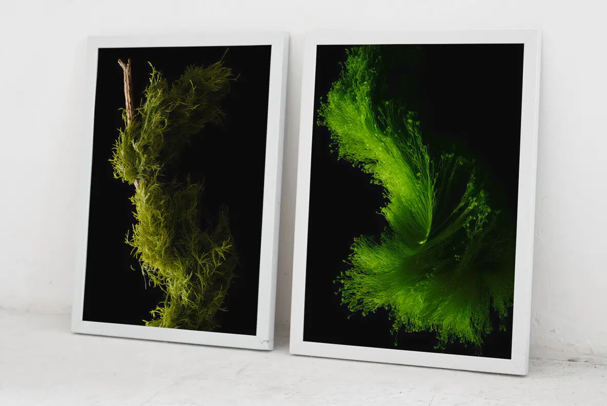 Art of Nature Nature - YouWorkForThem