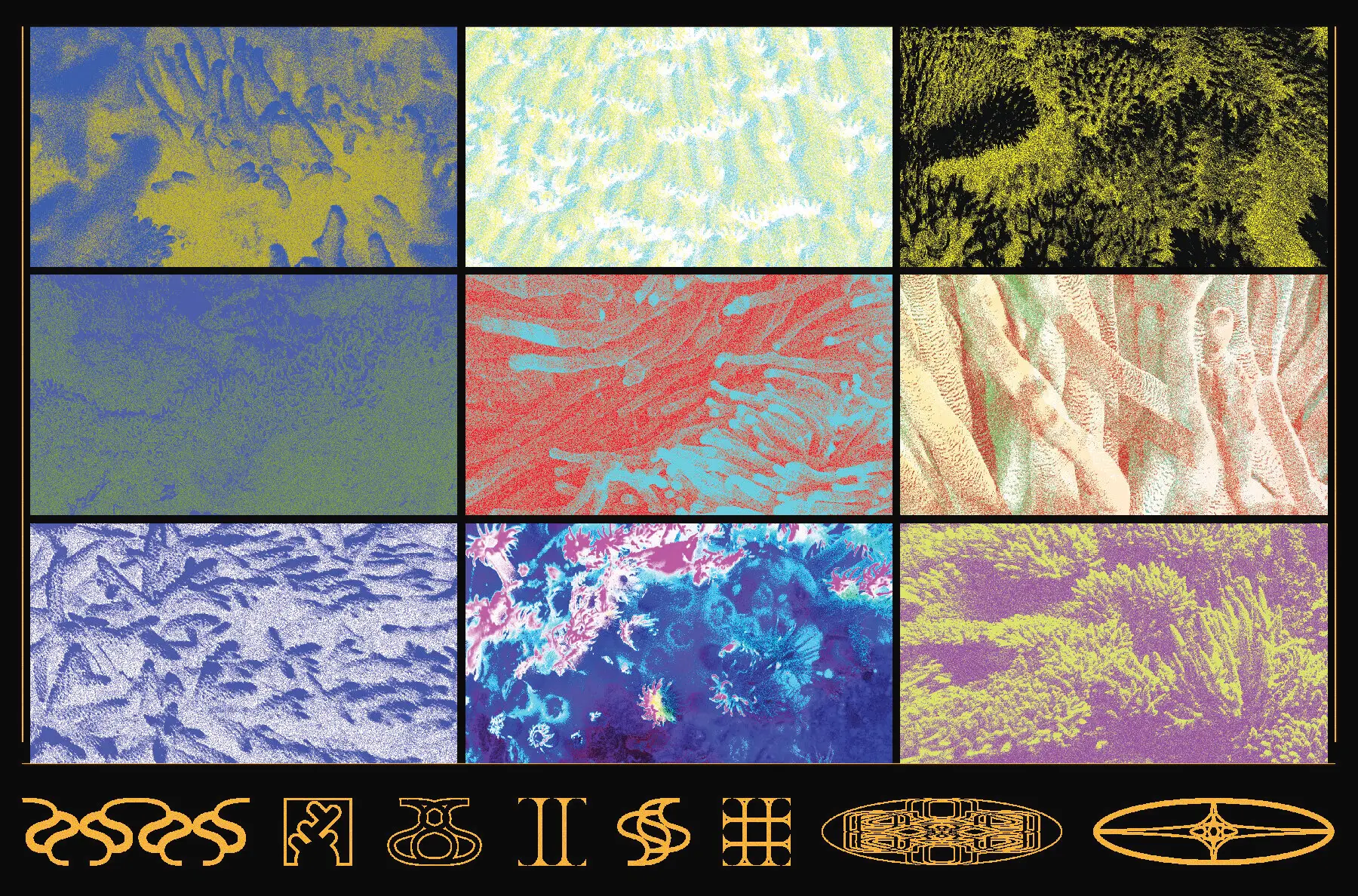 Coral Textures Textures - YouWorkForThem