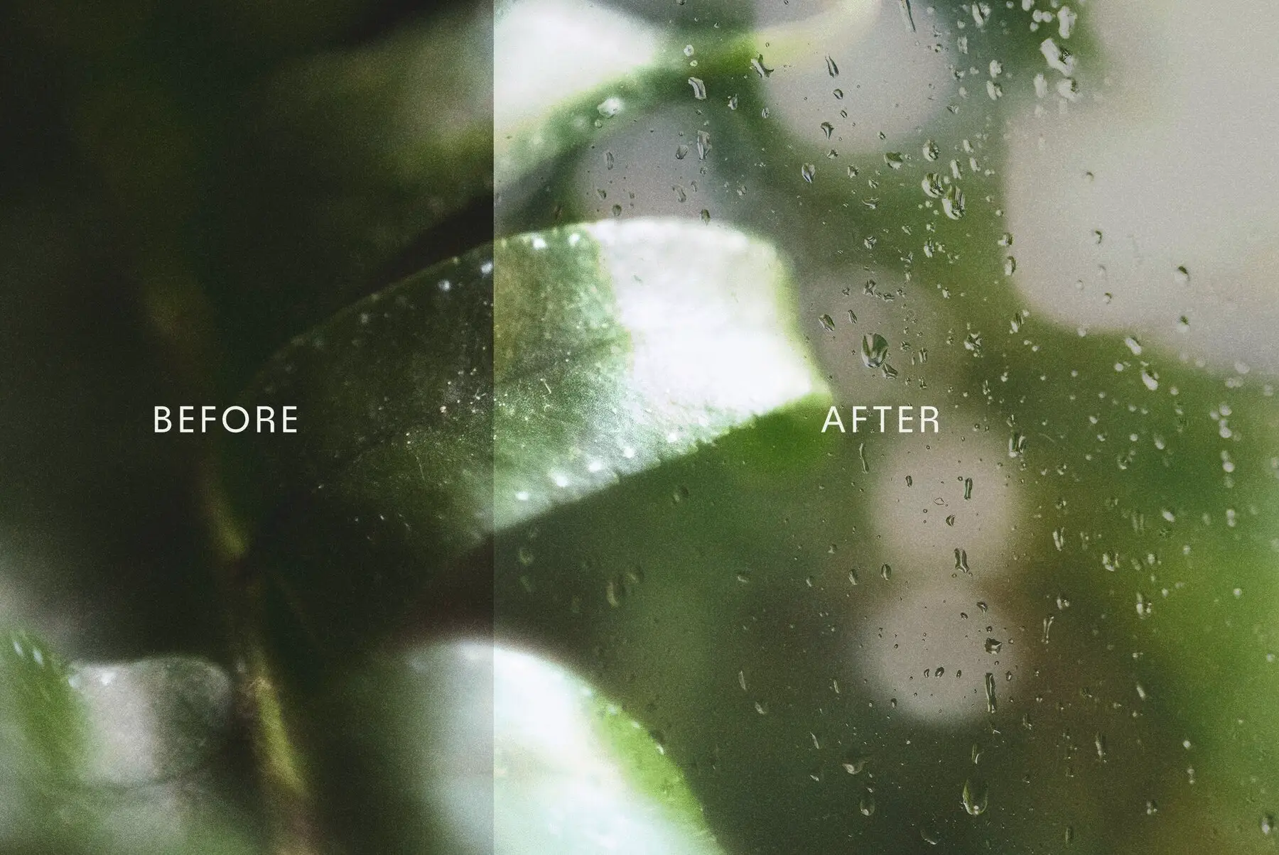 Rain Drop Photoshop Overlays - YouWorkForThem