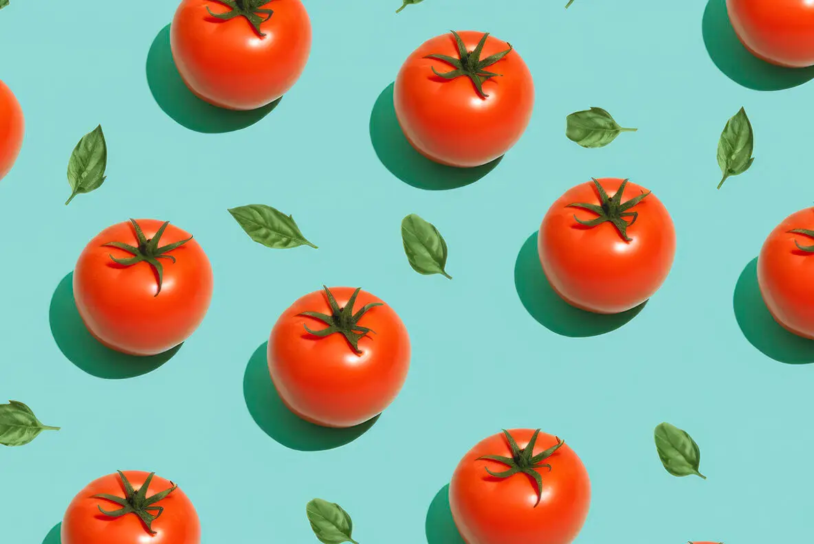Tomato Patterns Graphics - YouWorkForThem