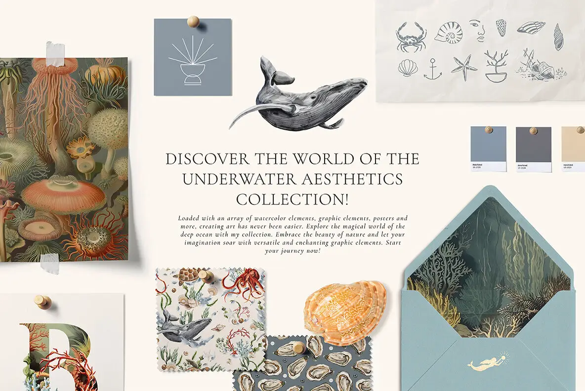 Underwater Watercolor Ocean Collection Graphics - YouWorkForThem