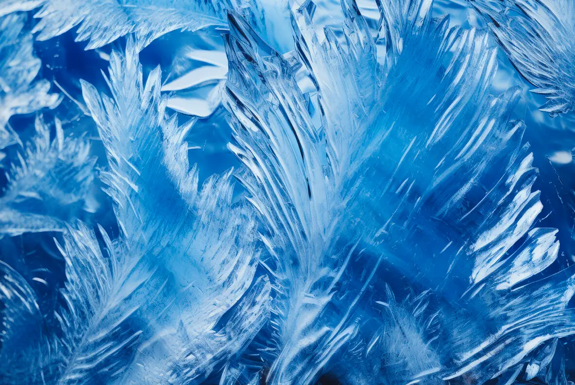 Frozen Ice patterns Nature - YouWorkForThem