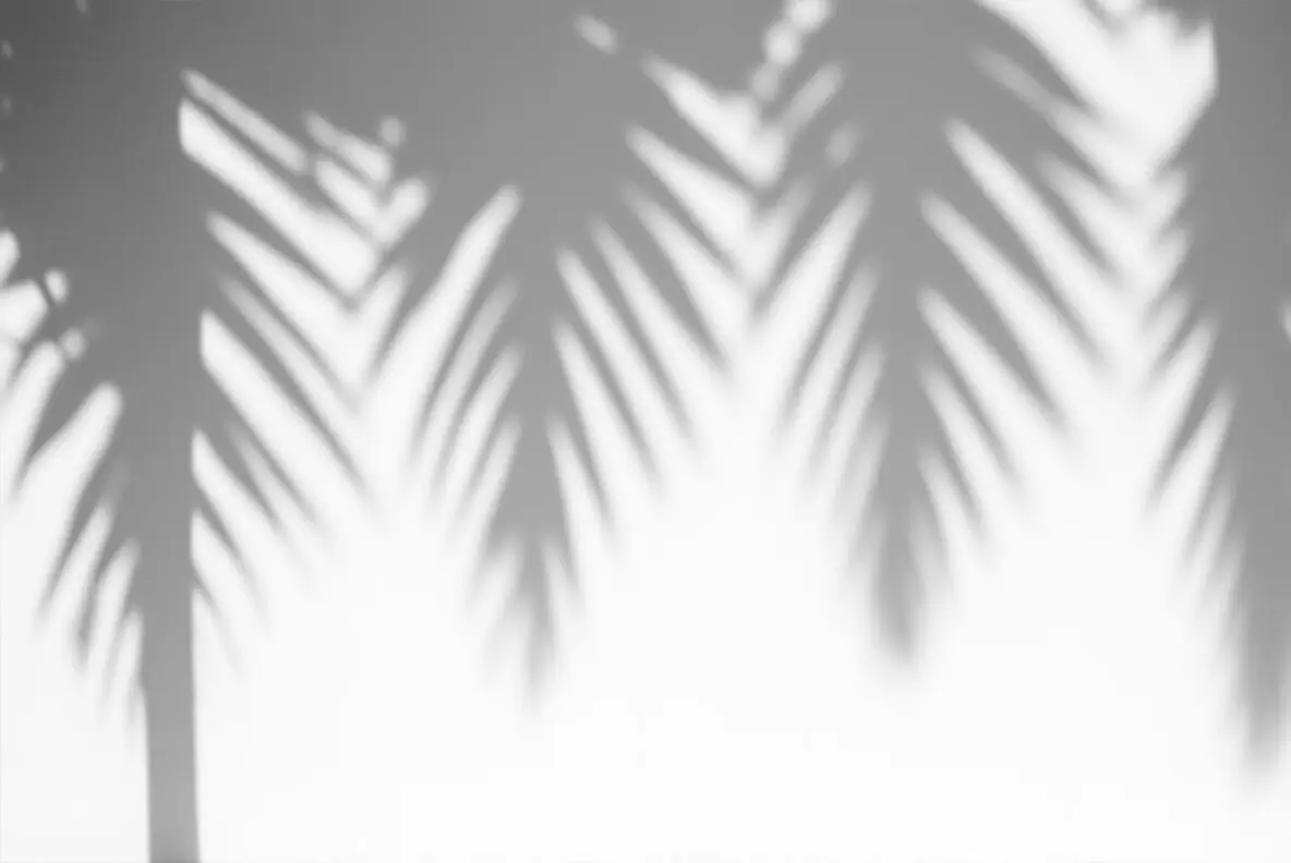 Shadow overlays Light Streaks - YouWorkForThem