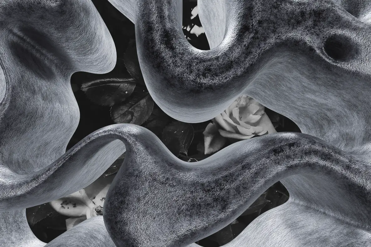 Neuro 2 - Neurographic 3D Objects Abstract - YouWorkForThem