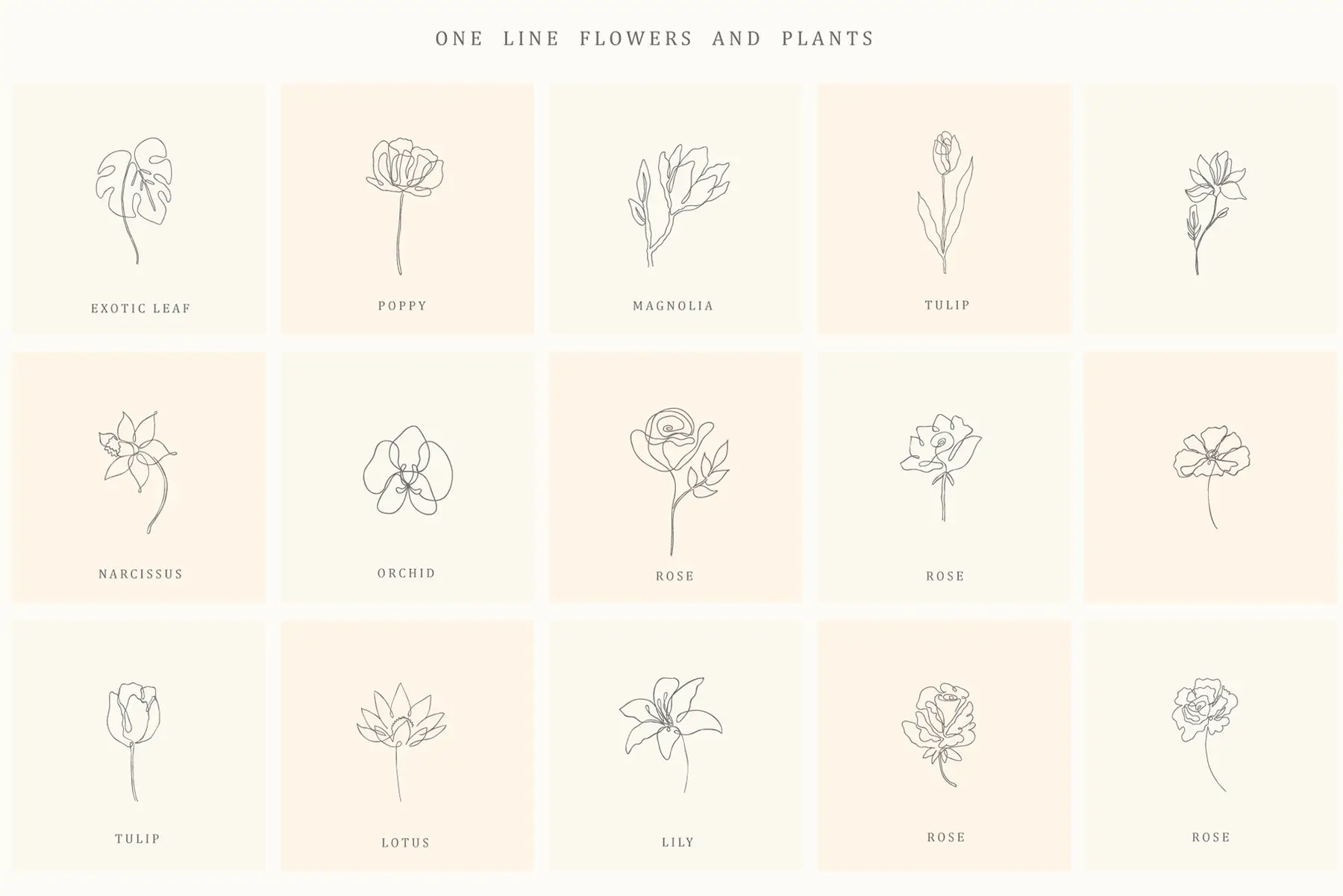 Botanical Hand Drawn Designs Logos Flourishes - YouWorkForThem