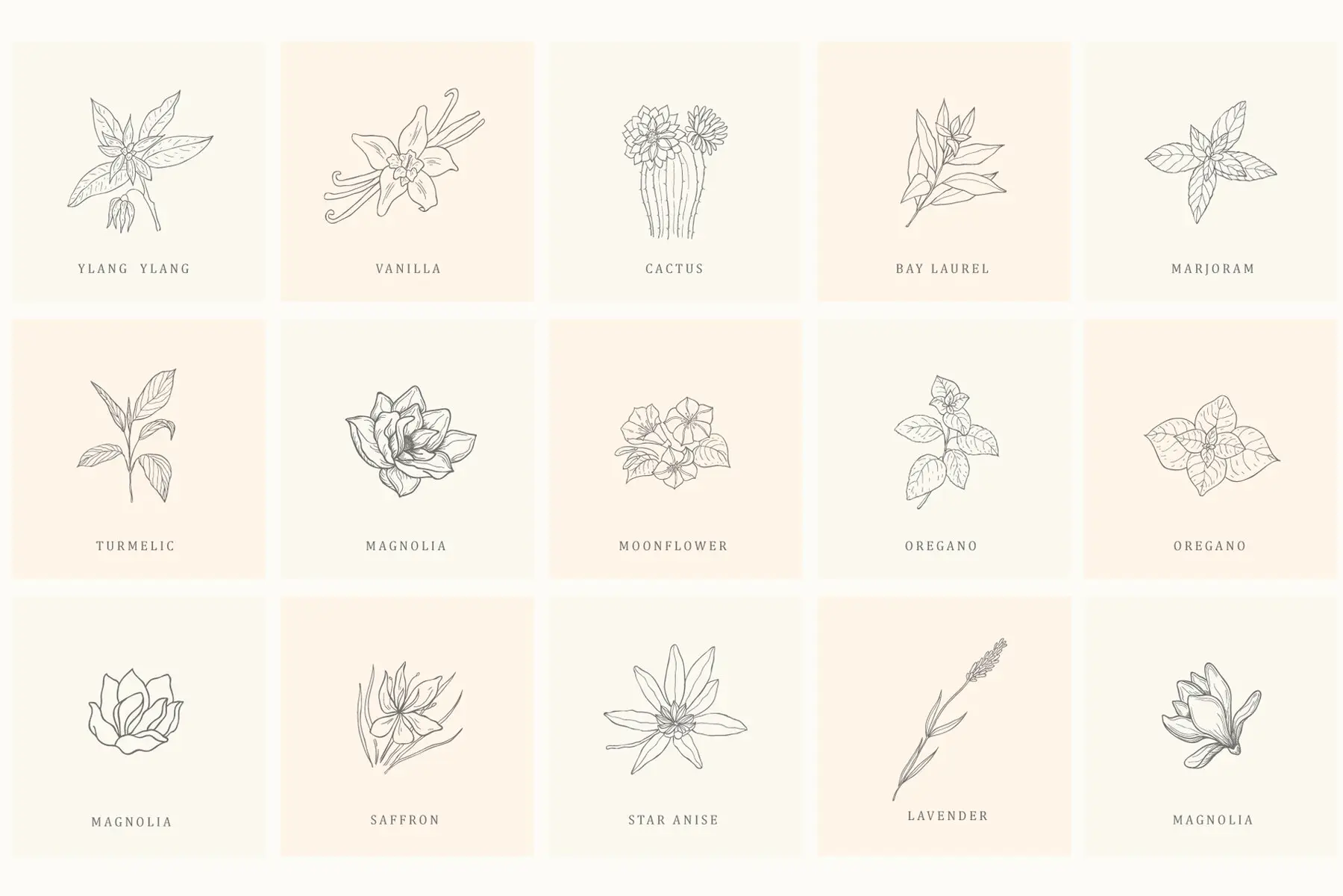 Botanical Hand Drawn Designs Logos Graphics - YouWorkForThem
