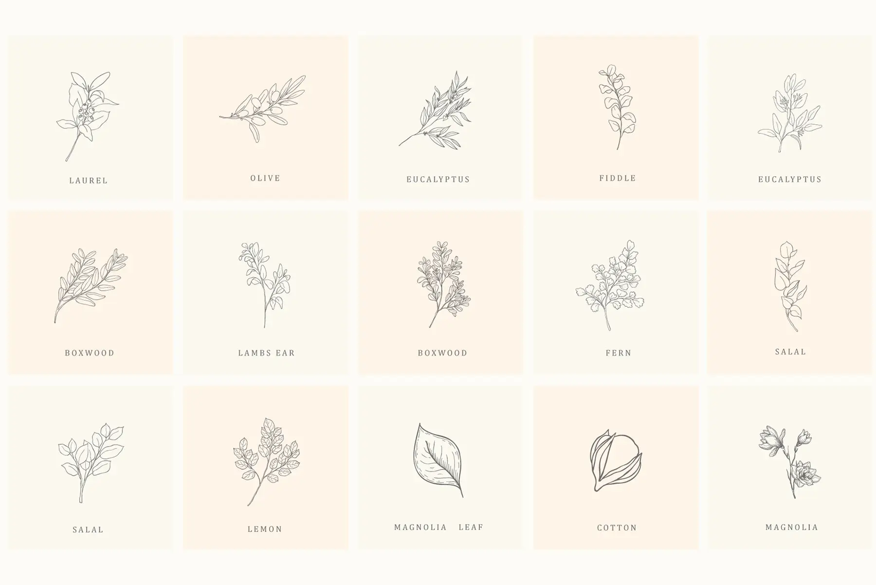 Botanical Hand Drawn Designs Logos Flourishes - YouWorkForThem