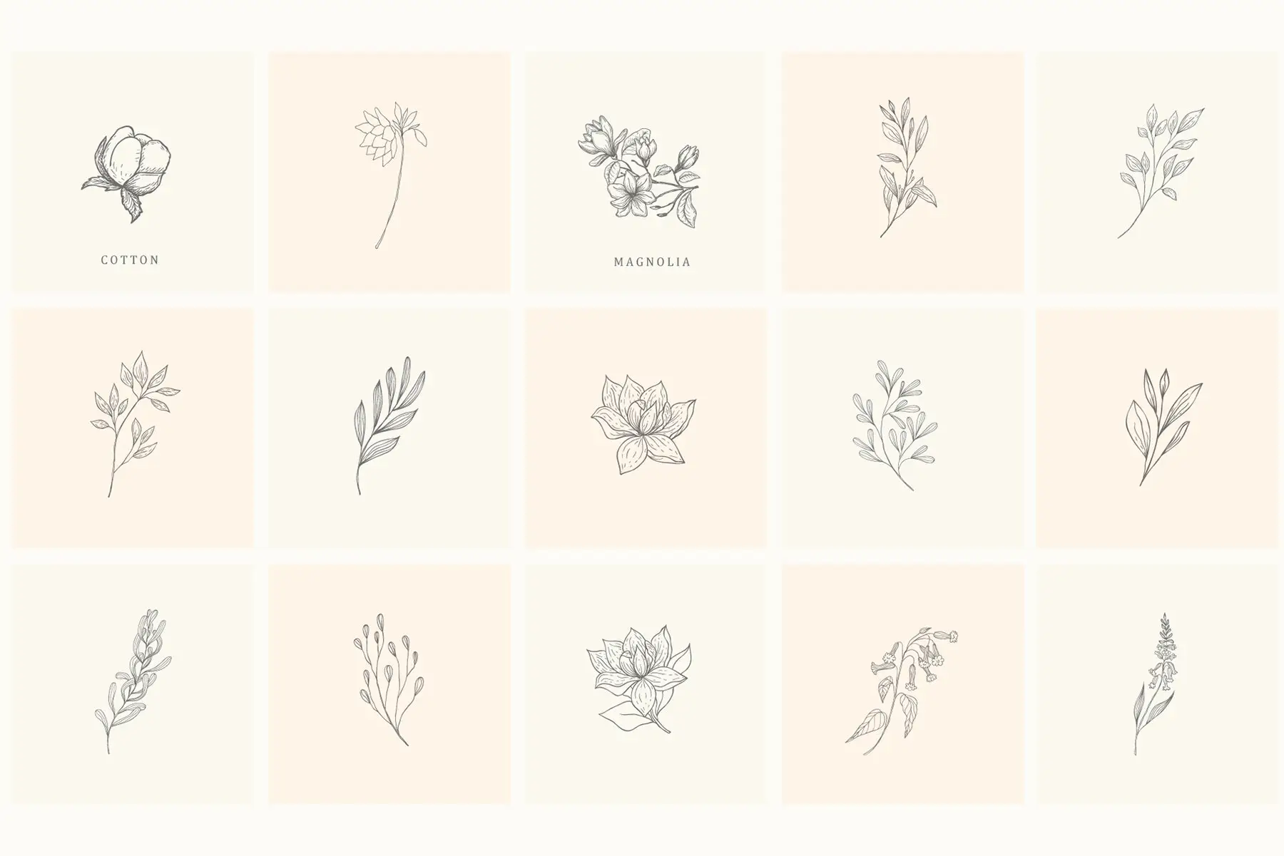 Botanical Hand Drawn Designs Logos Flourishes - YouWorkForThem