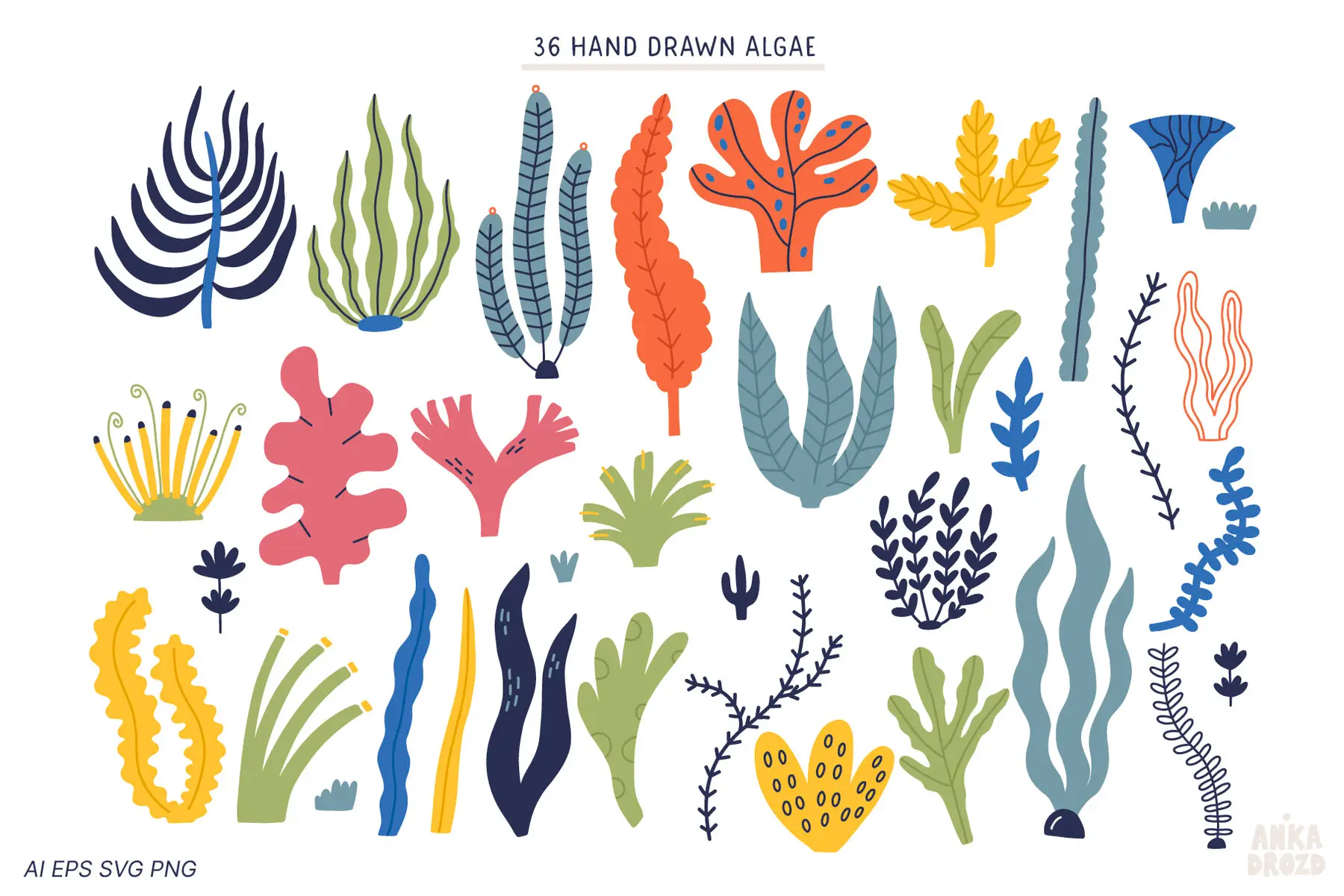 Aquatic Life Graphics - YouWorkForThem