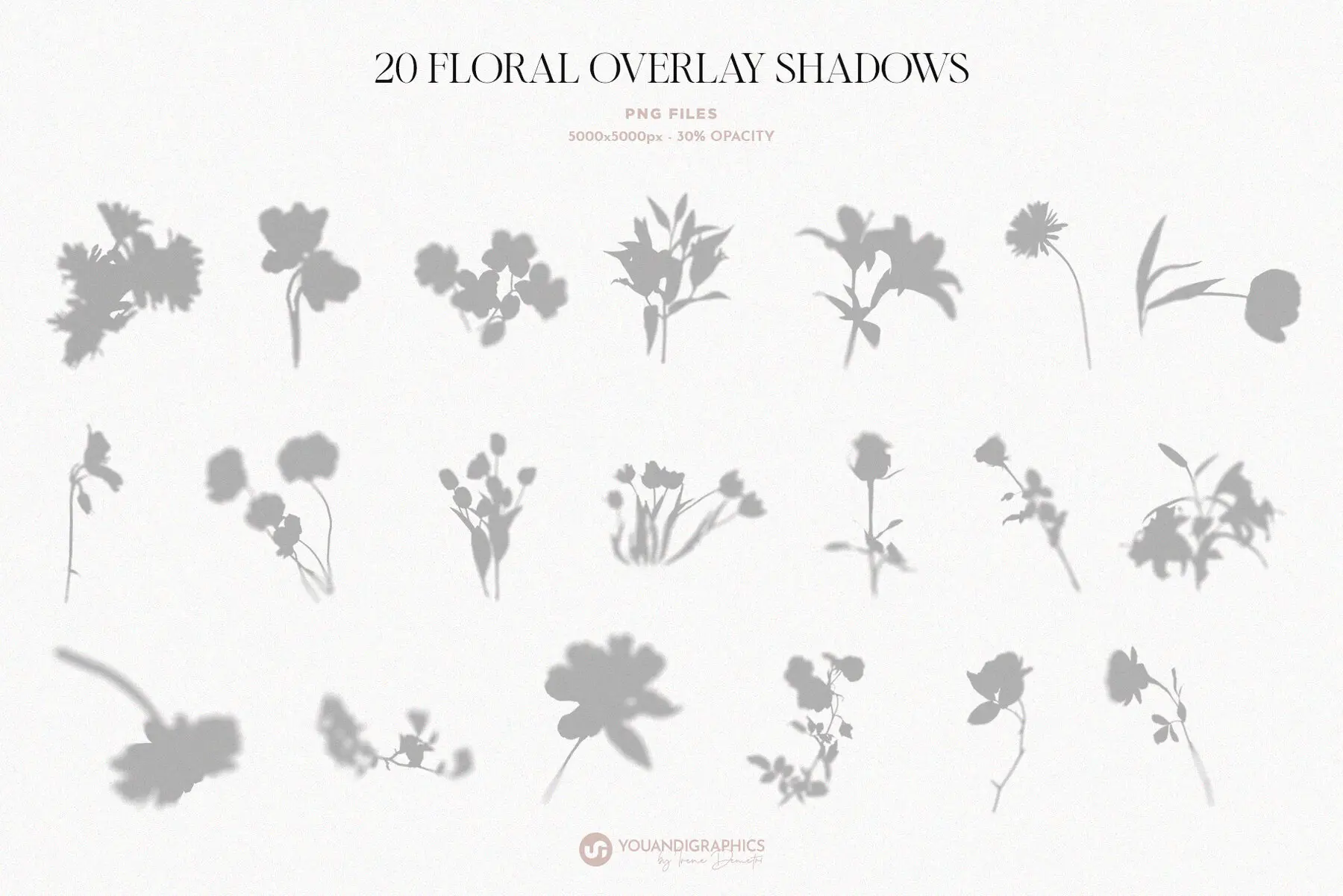 Floral Shadows Overlays Light Streaks - YouWorkForThem