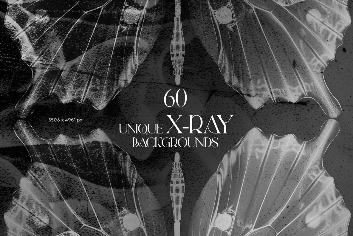 X-ray aesthetic backgrounds Graphics - YouWorkForThem