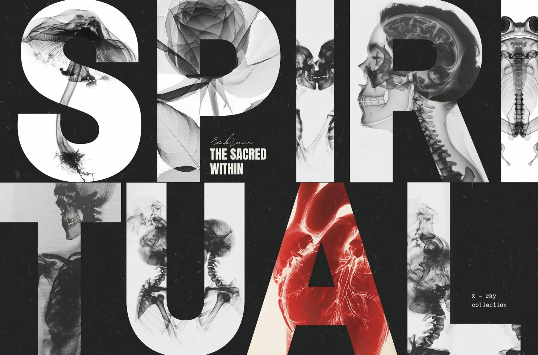 55 Immortal X-ray Print Posters Graphics - YouWorkForThem