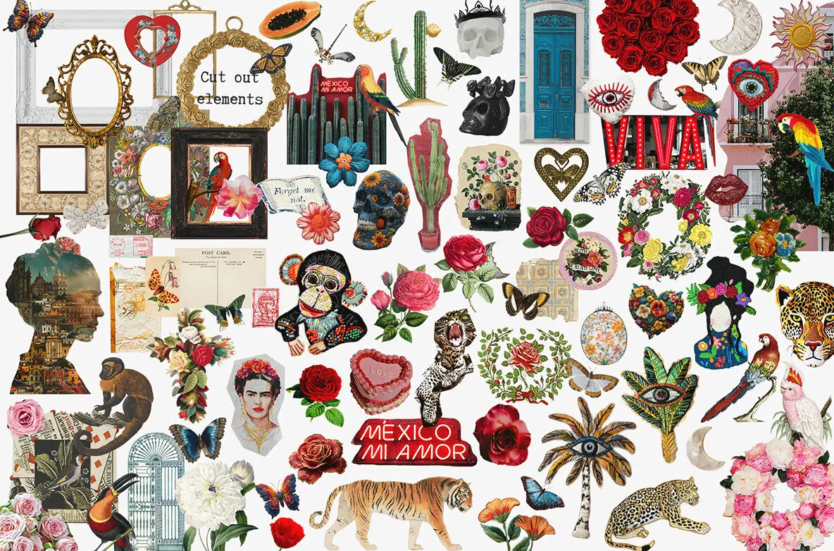 Viva la Vida Collage Creator Pack Graphics - YouWorkForThem