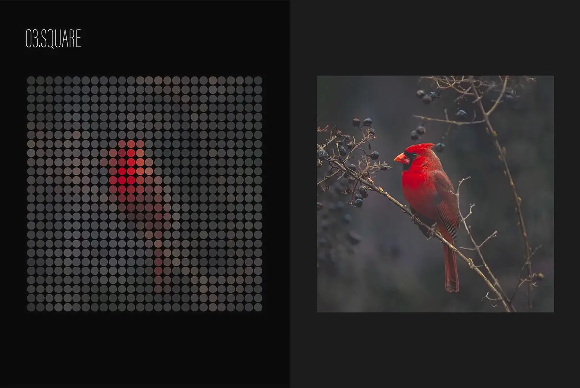 Mosaic Photoshop Effect Graphics - YouWorkForThem