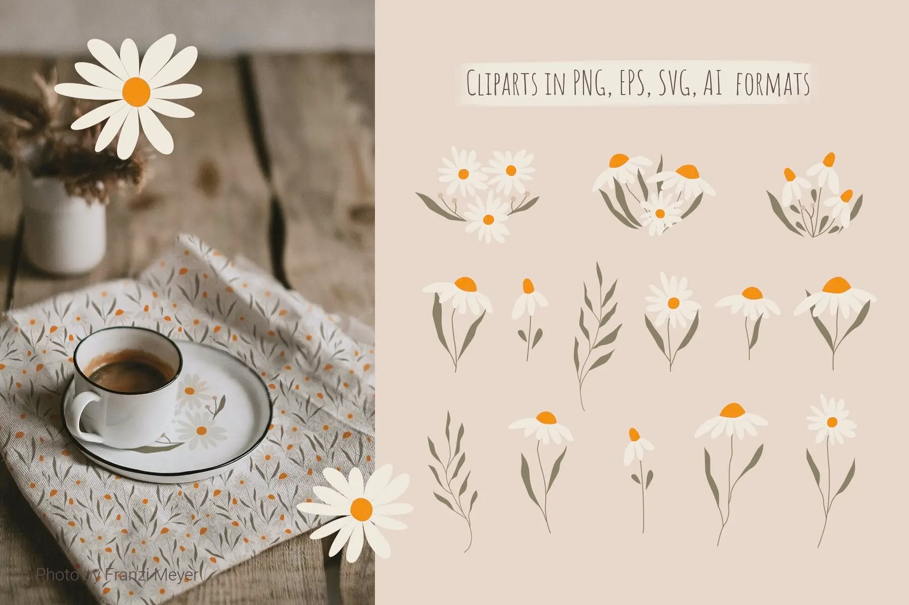 Set of daisies flowers Graphics - YouWorkForThem