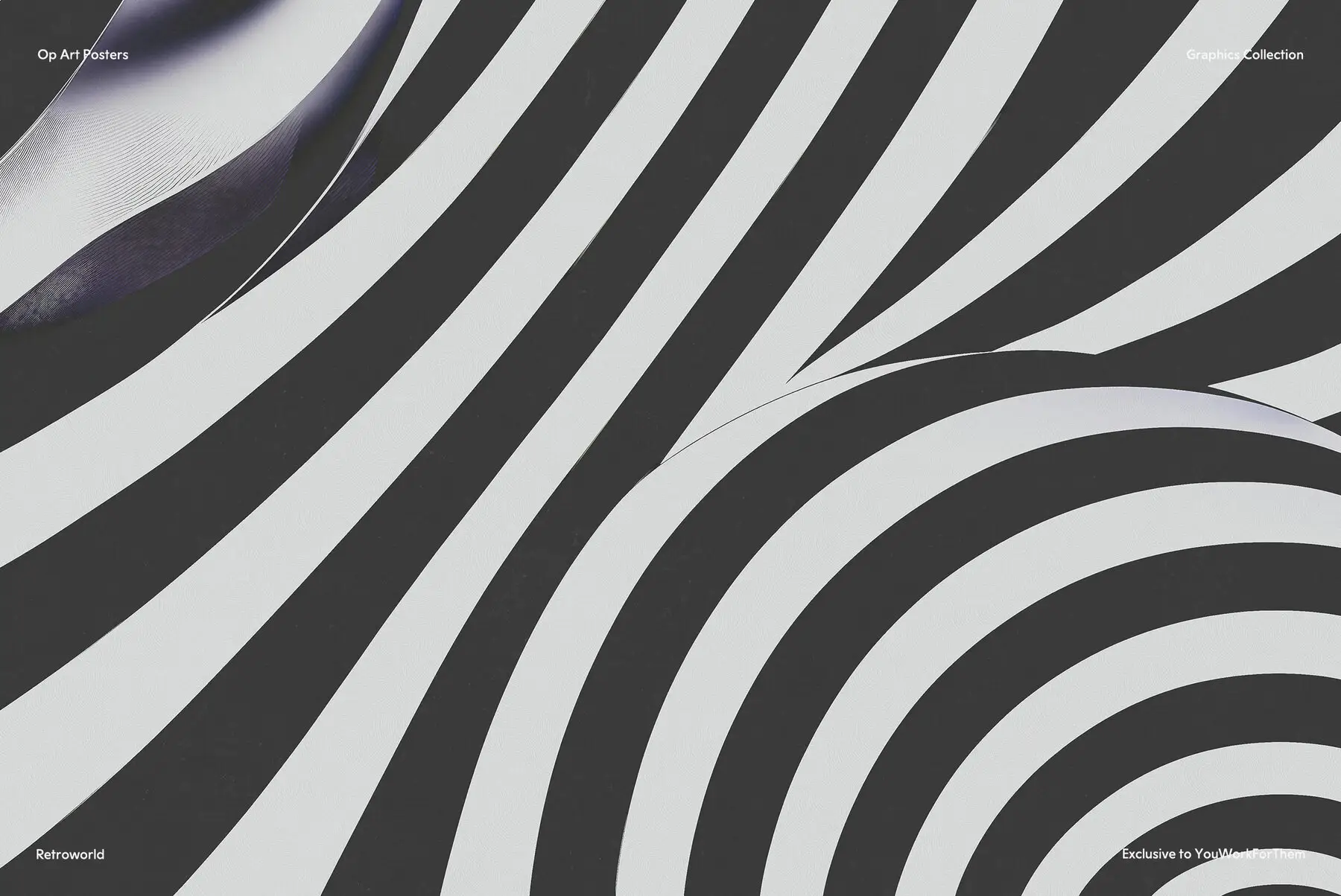 Op Art Posters Graphics - YouWorkForThem