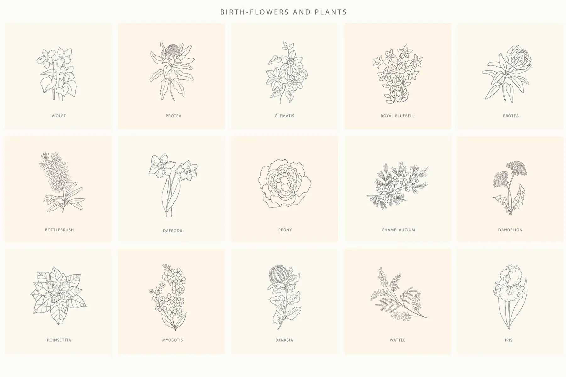 Birth Flowers Trendy Plants Logos Vector Illustrations Illustrations ...
