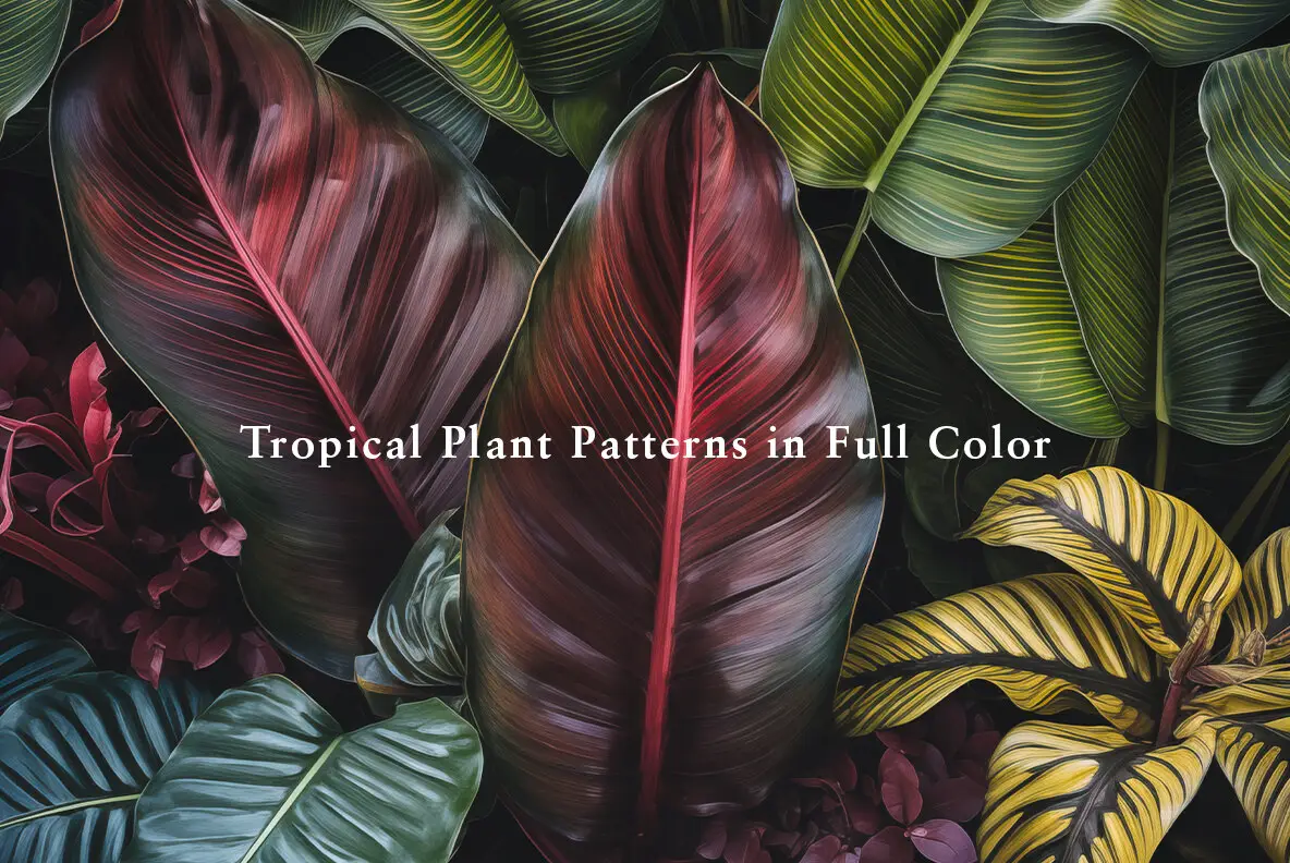 Tropical Foliage Graphics - YouWorkForThem