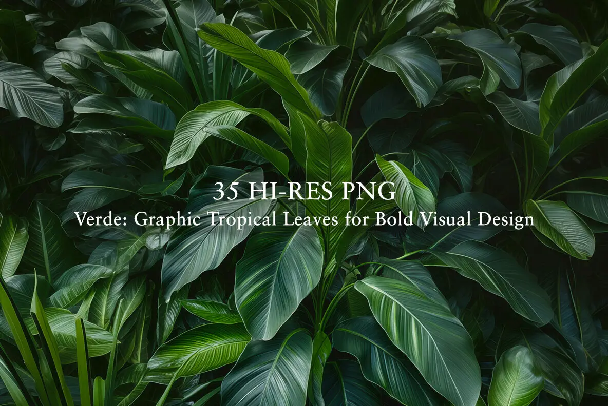 Tropical Foliage Graphics - YouWorkForThem