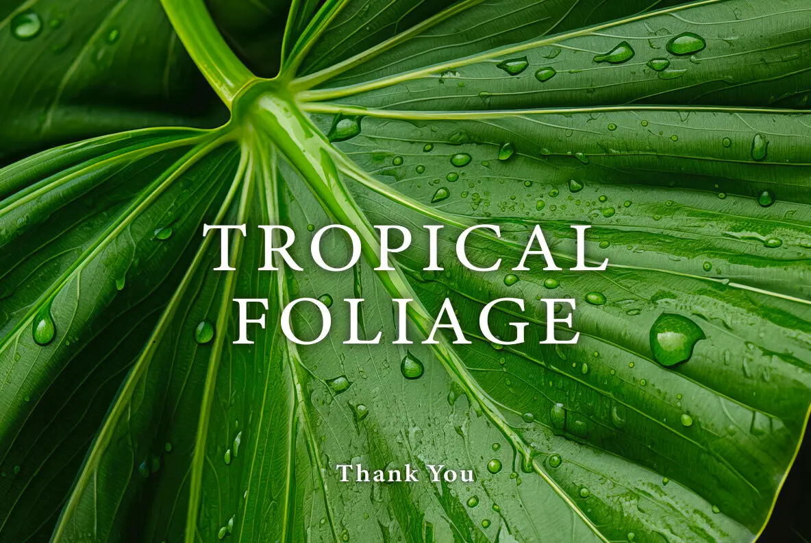 Tropical Foliage Graphics - YouWorkForThem