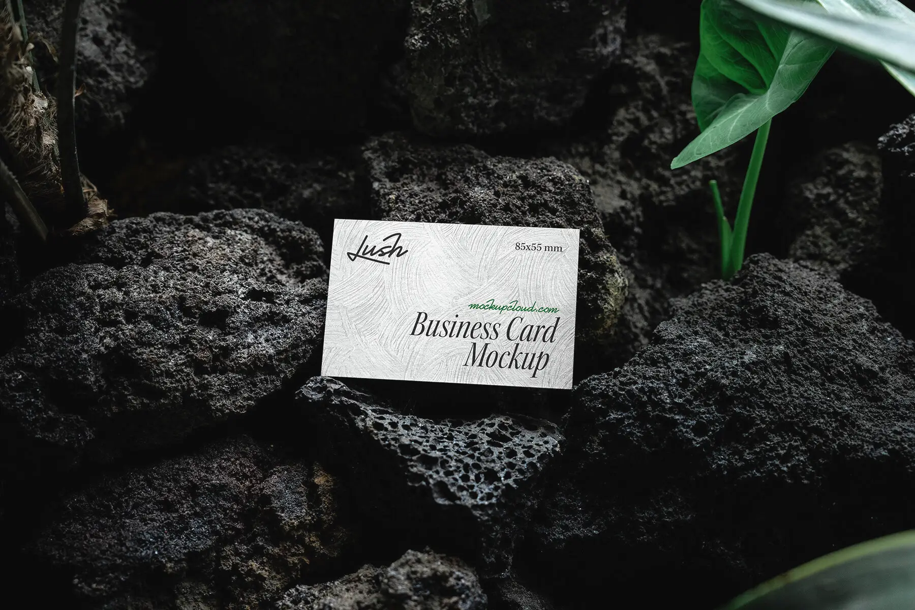 Branding Mockups Lush Series 03 Mockups - YouWorkForThem