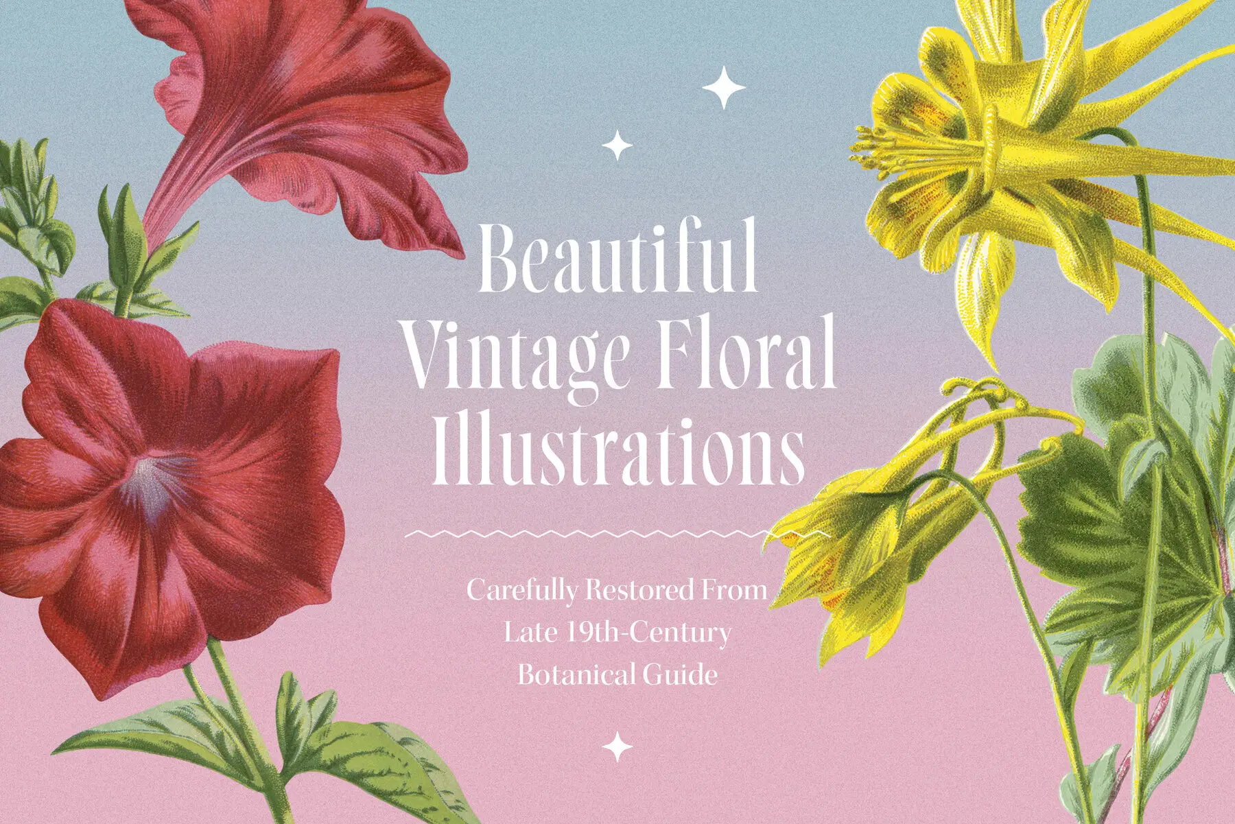 Atlas of Flowers Botanical Art Set Graphics - YouWorkForThem