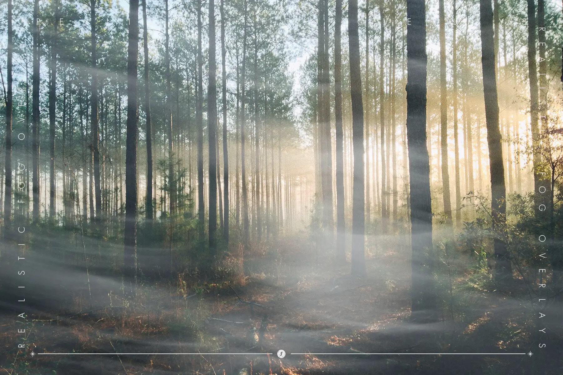 Fog Overlays Graphics - YouWorkForThem