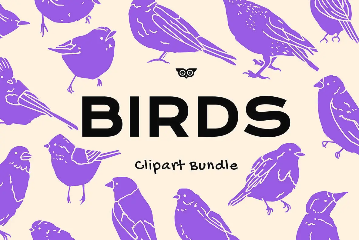 Birds Clipart Bundle Illustrations - YouWorkForThem