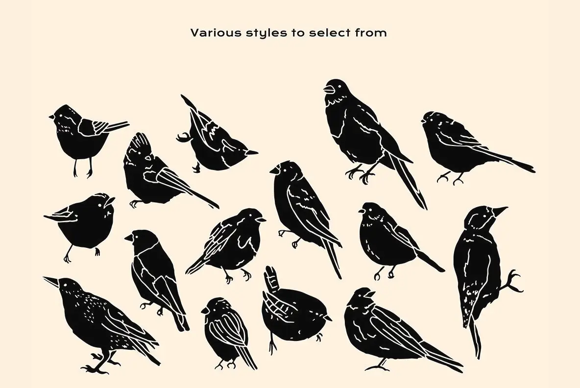 Birds Clipart Bundle Illustrations - YouWorkForThem