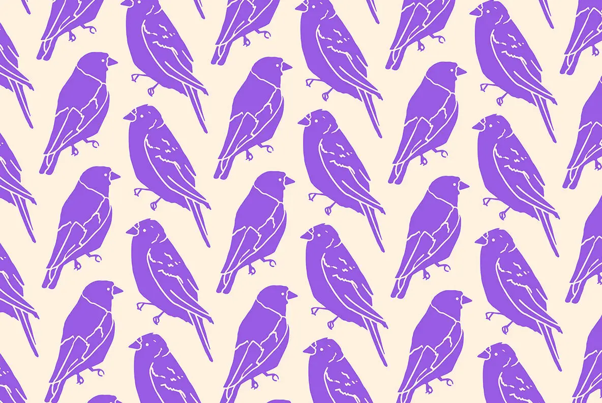 Birds Clipart Bundle Graphics - YouWorkForThem