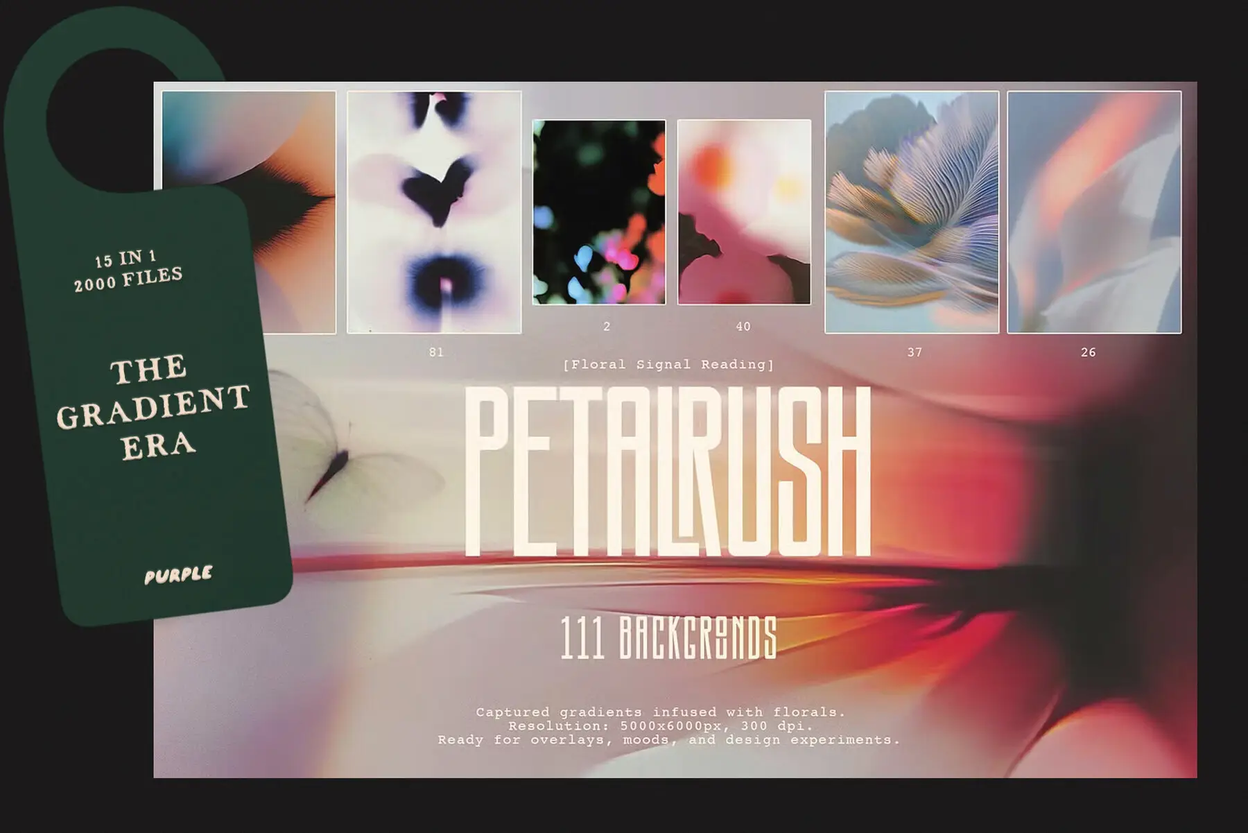 15 In 1 - The Gradient Era Graphics - YouWorkForThem