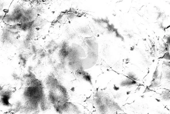 Bitmap Textures Graphics - YouWorkForThem