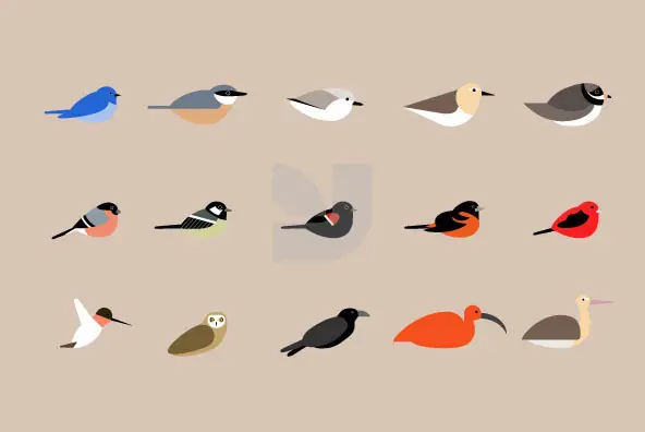 Birds Graphics - YouWorkForThem