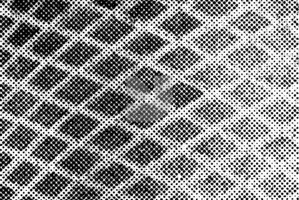 Analog Halftones Graphics - YouWorkForThem