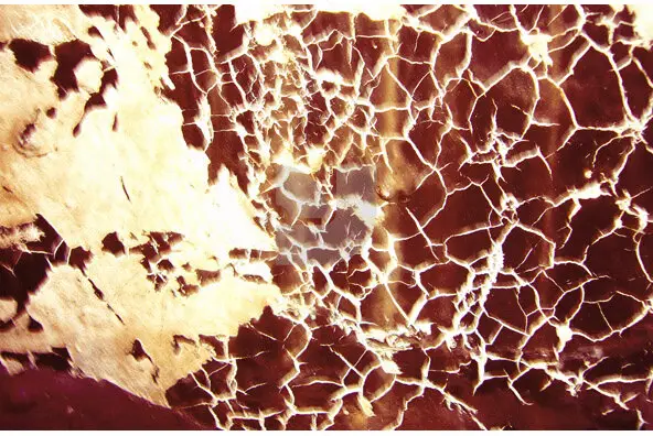 100 Textures Collection Graphics - YouWorkForThem