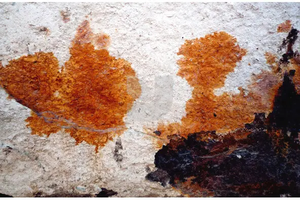 100 Textures Collection Graphics - YouWorkForThem