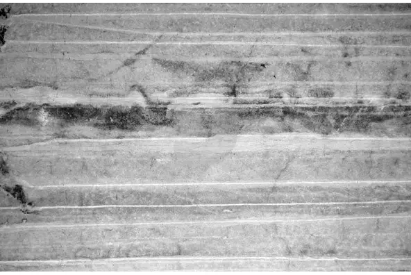 100 Textures Collection 02 Graphics - YouWorkForThem