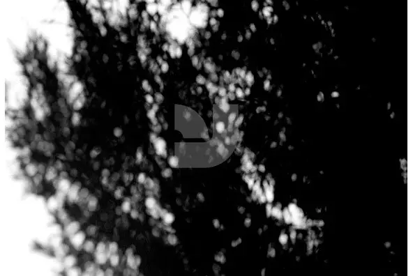 Reflections Collection Graphics - YouWorkForThem