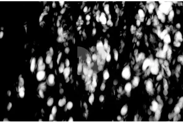 Reflections Collection Graphics - YouWorkForThem