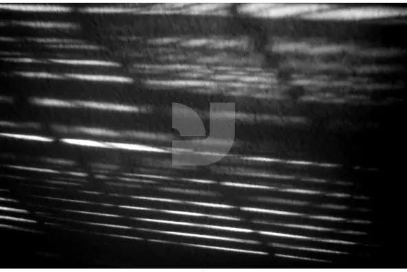 Reflections Collection Graphics - YouWorkForThem