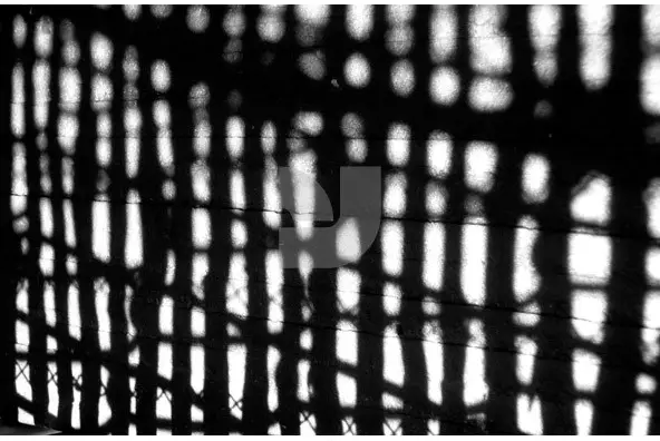 Reflections Collection Graphics - YouWorkForThem